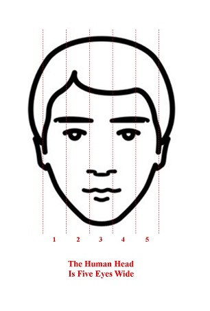 Human Face & Body Proportions, and the Rule of Three – Wood Chip Chatter
